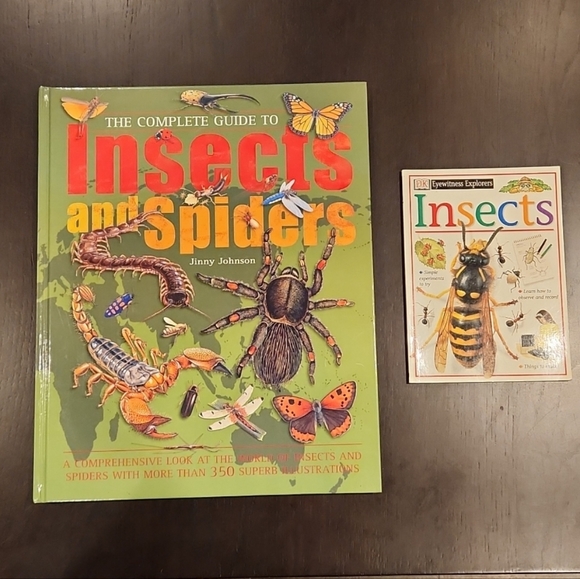 Toys | The Complete Guide To Insects And Spiders By Jinny Johnson ...